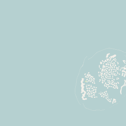 Dubai Heat Map 1 : Scribble Maps